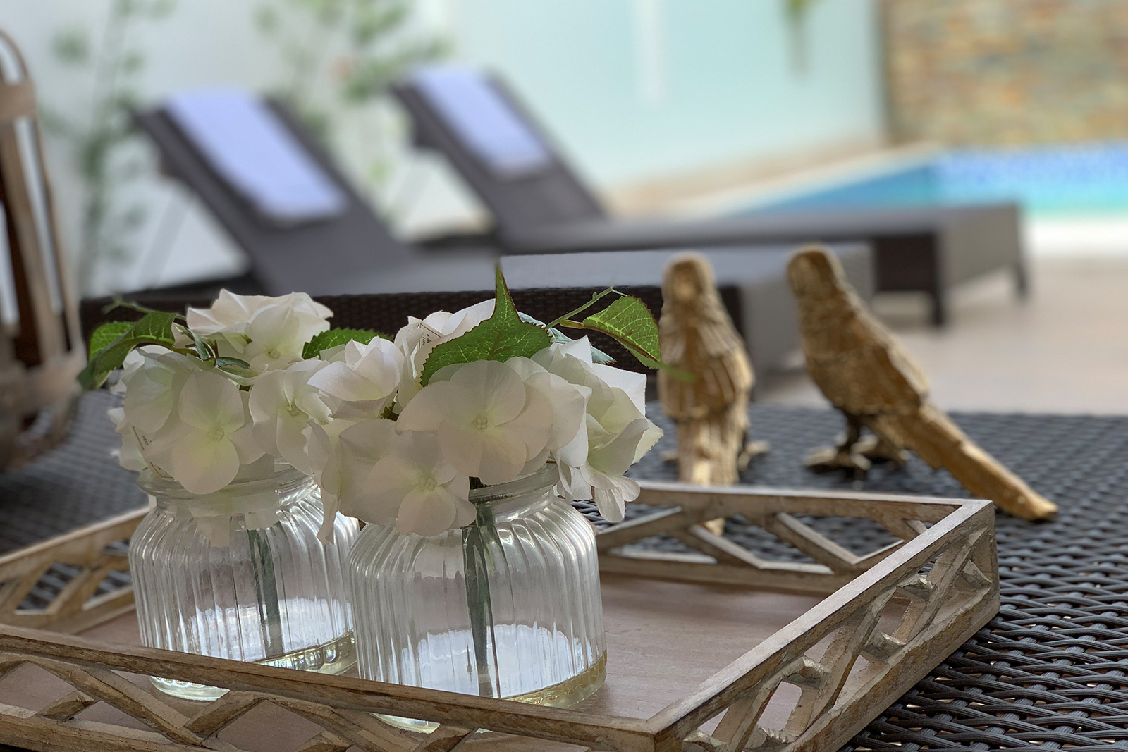 Casa Cana - Scarlett Reyes Interiors